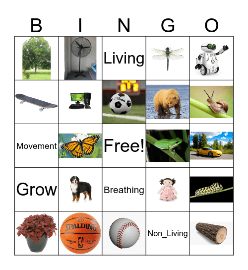 Living Non Living Bingo Card