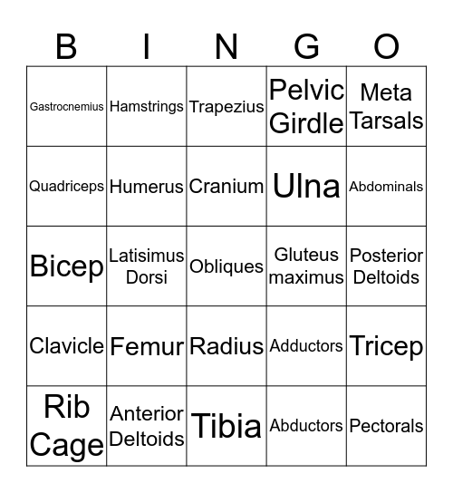 Bones and Muscles Bingo Card
