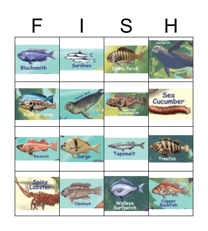 Santa Catalina Island Fish Bingo Card