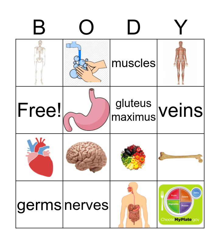 Body Systems BINGO! Bingo Card