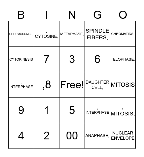 Mitosis Bingo Card