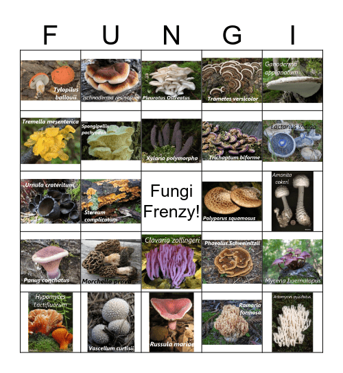 Fungi Bingo Card