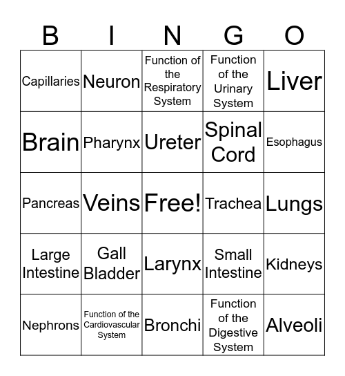 Organ Systems BINGO Card