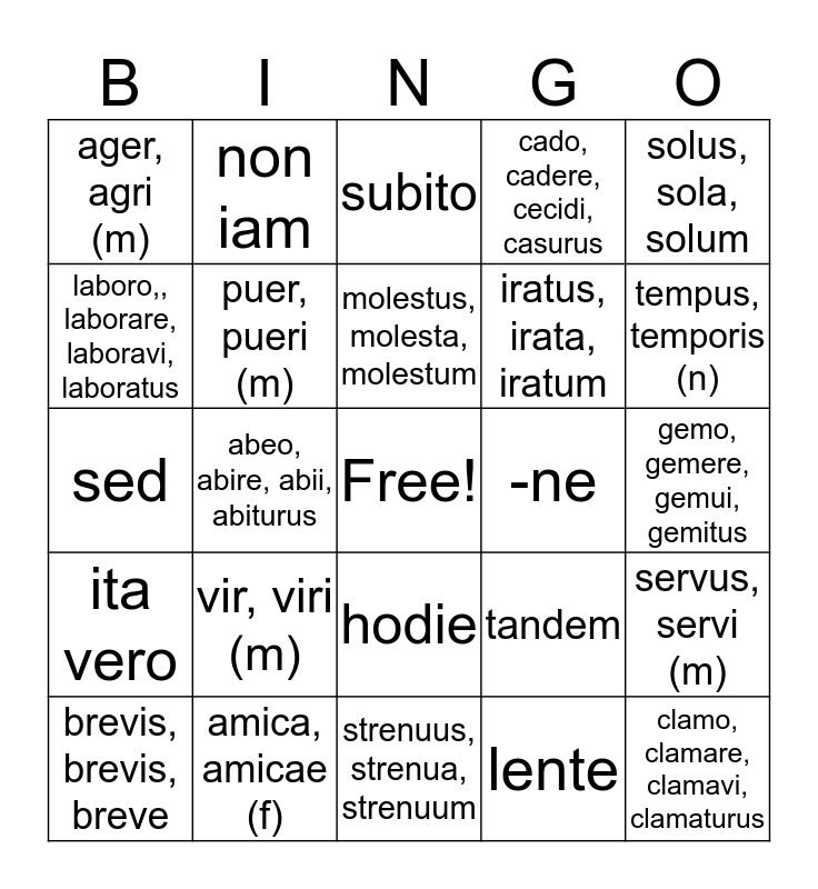 Latin Vocab Wk 7 Bingo Card