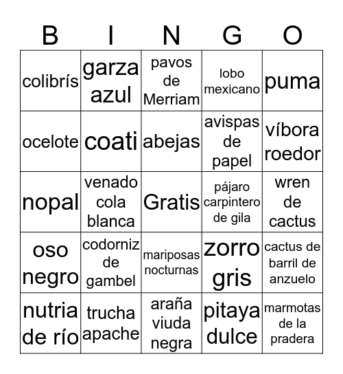 Desert Museum Bingo Card