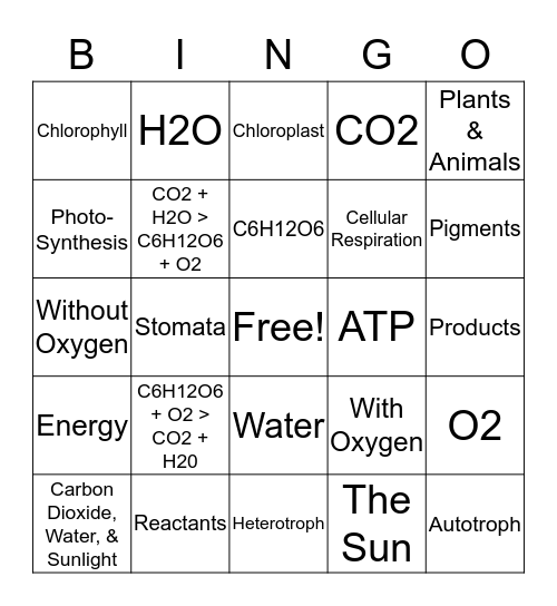 Photosynthesis & Cellular Respiration Bingo Card
