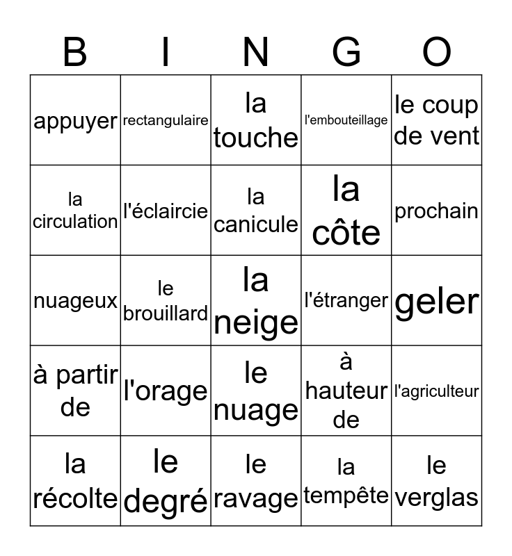 mots dans le vent 5 Bingo Card