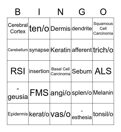 Medical Terminology Bingo Card