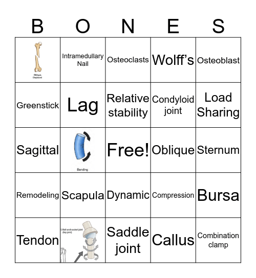 BONES Bingo Card
