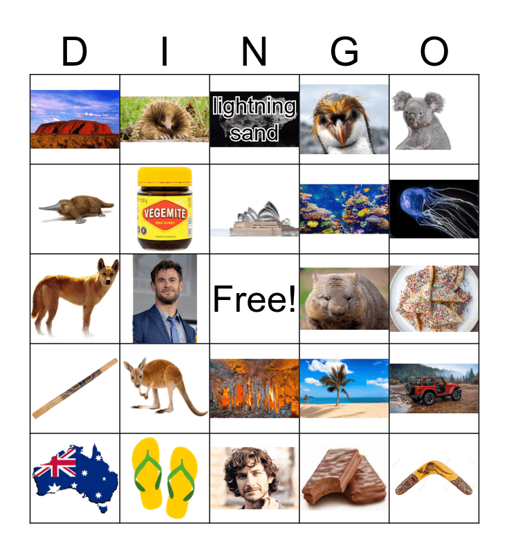 Dingo Bingo! Bingo Card