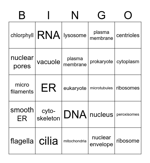 organelle functions Bingo Card