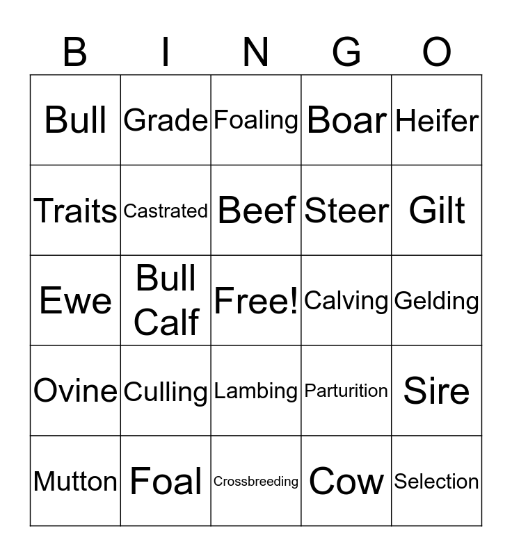 Livestock Terminology Bingo Card