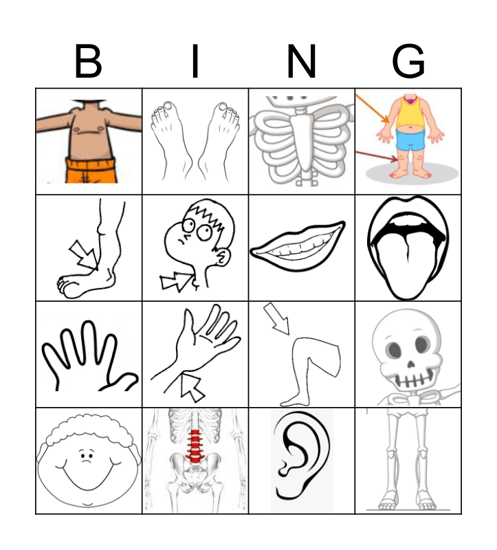 Body Parts Bingo Card