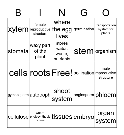 Plant Bingo Bingo Card Plant Bingo Bingo Card