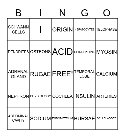 Anatomy & Physiology Bingo Card