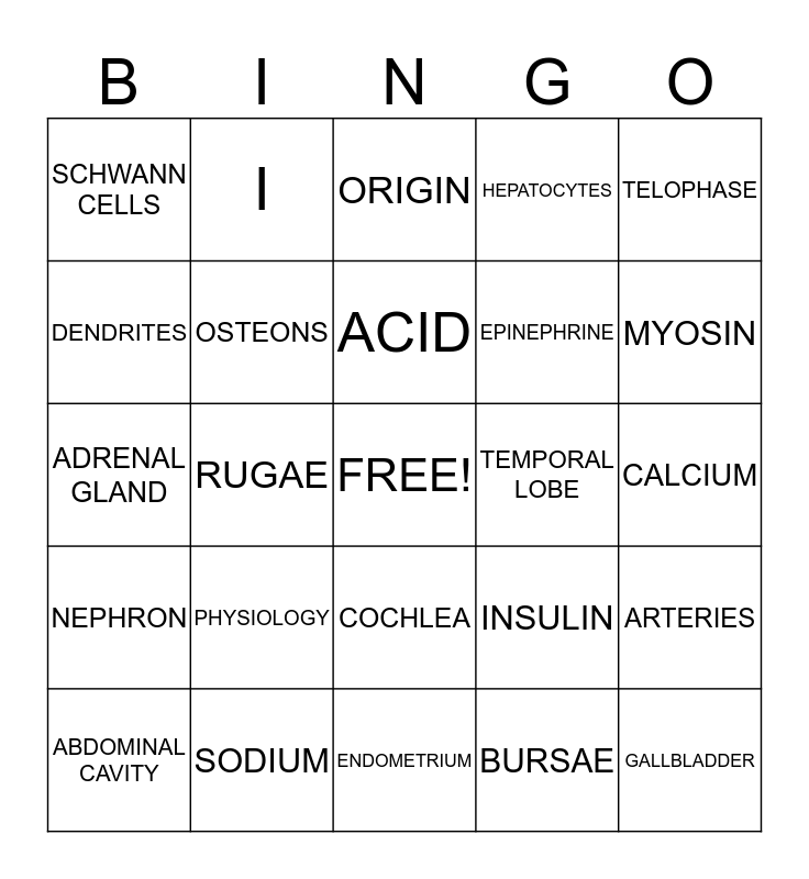 Anatomy & Physiology Bingo Card