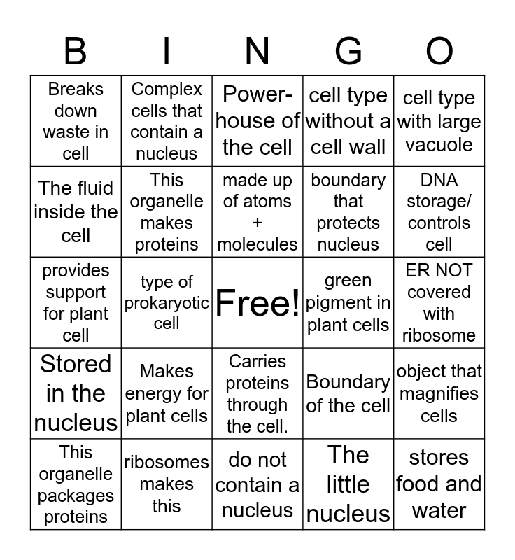Cell Organelle Bingo Card