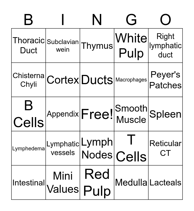 Lymphatic System Bingo Card