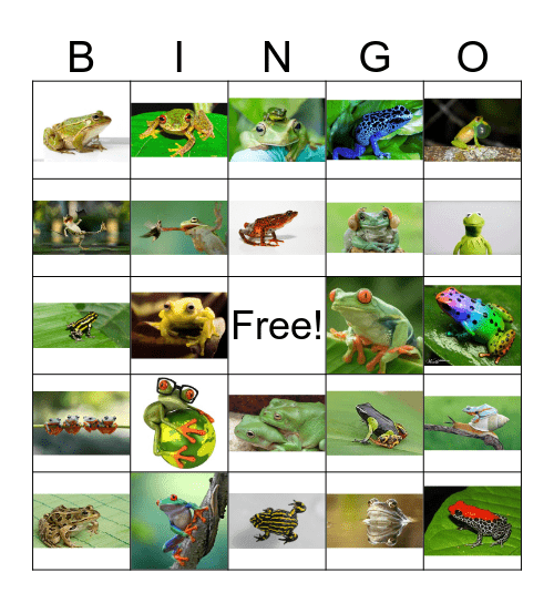 Brenda's FROG Bingo Card
