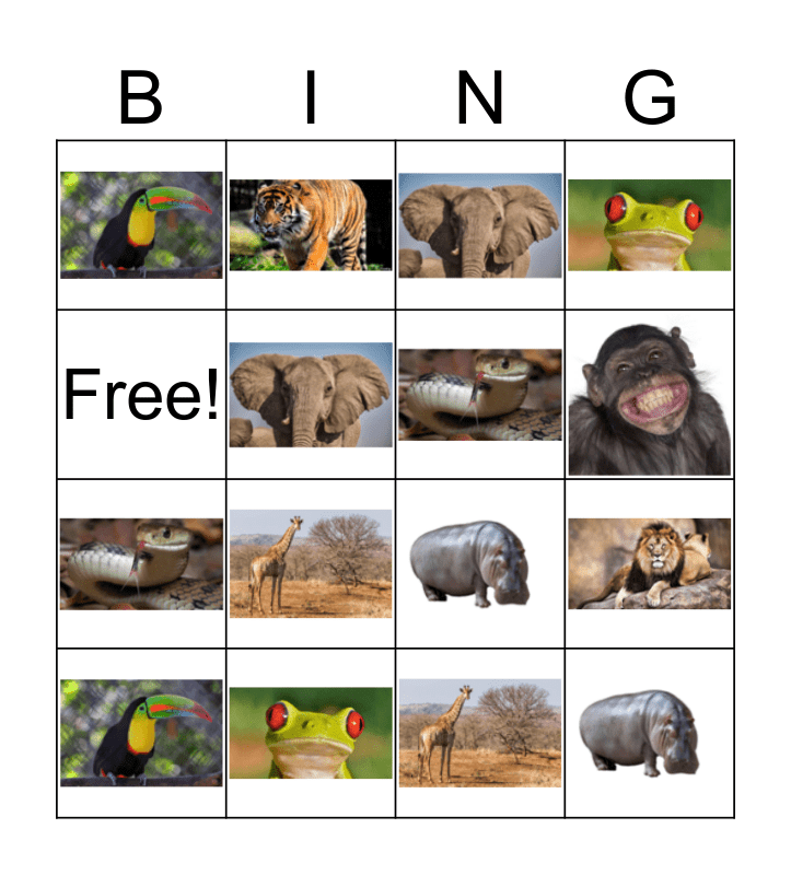 Wild Animals Bingo Card