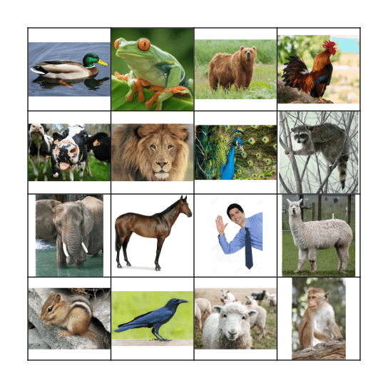 Animal Sounds Bingo Card