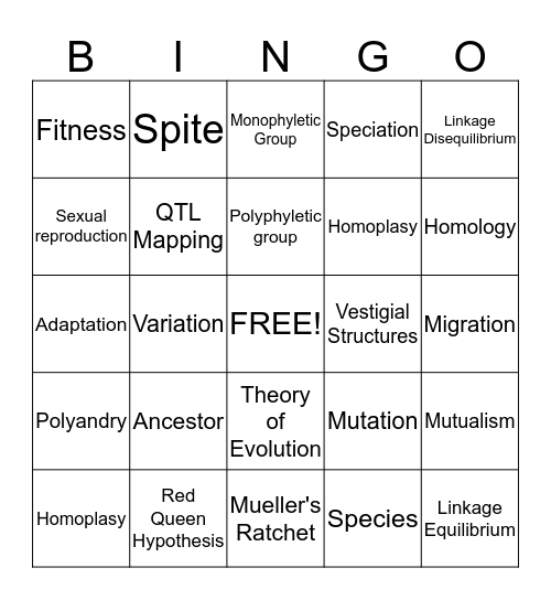 Evolution Bingo Card