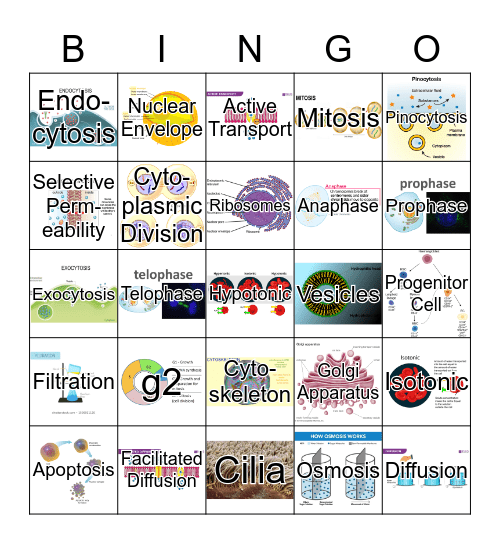 Cells Bingo Card