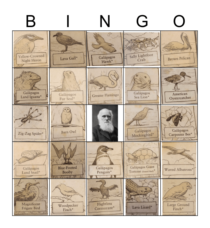 Lisi's Bingo: Select all the creatures, naturally! Bingo Card