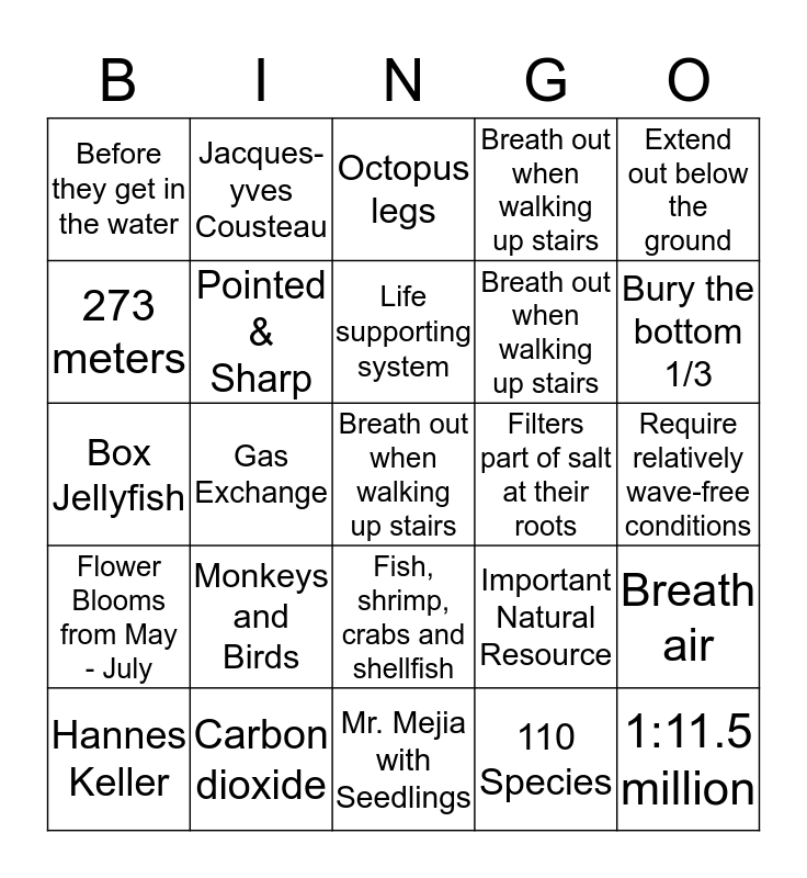 Mangrove Bingo Card