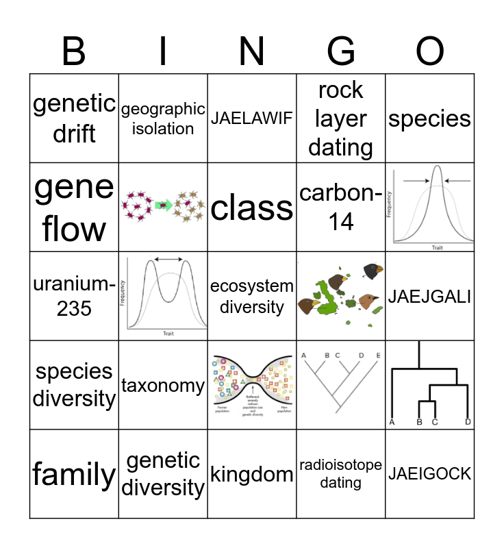 EOC Review Bingo - Organization - Part 2 Bingo Card