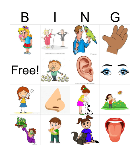 Five Senses Bingo Card
