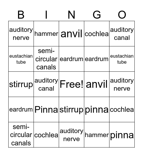 Parts of the ear Bingo Card