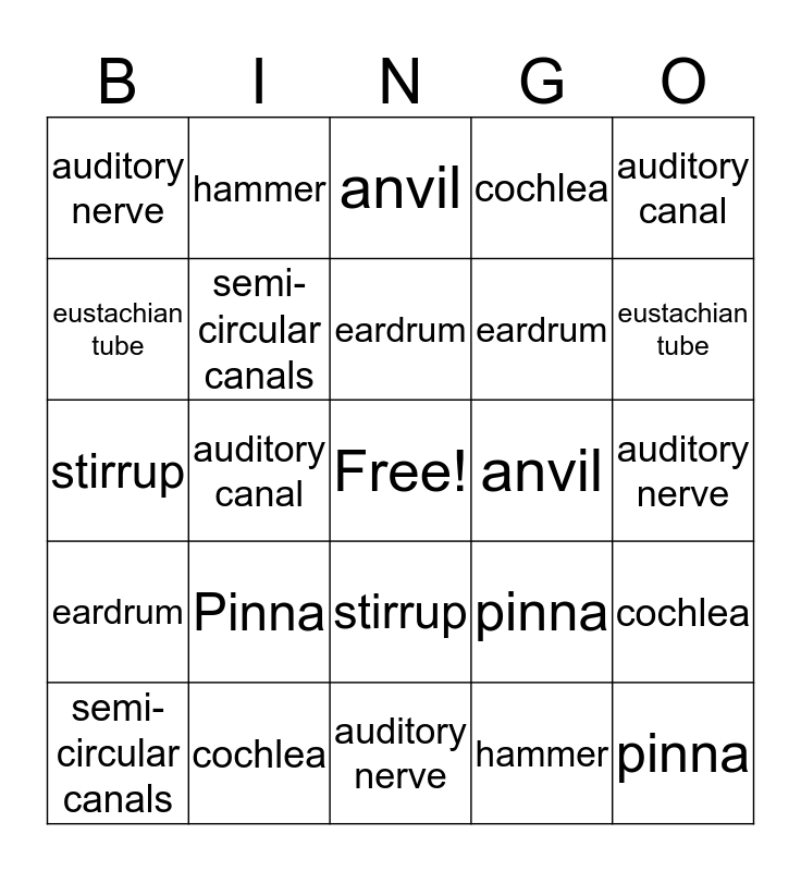 Parts of the ear Bingo Card