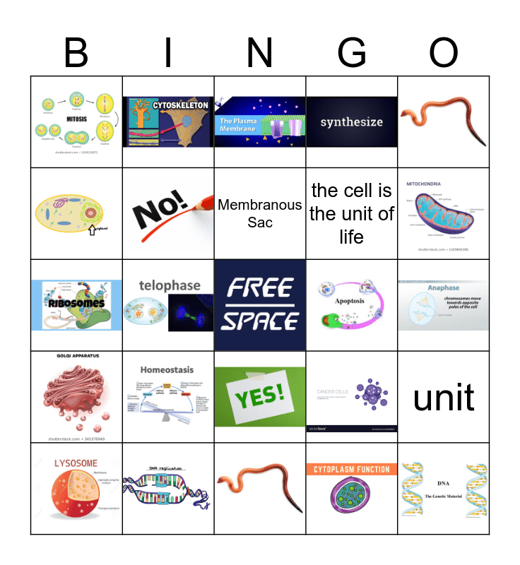 Play cells Bingo Online | BingoBaker