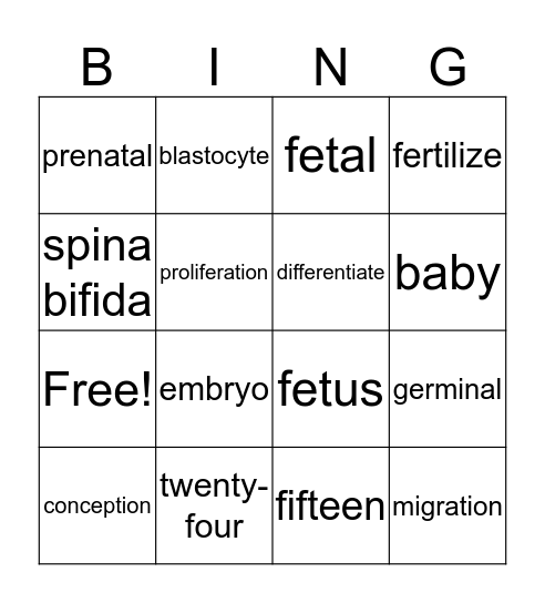 Prenatal Development Bingo Card