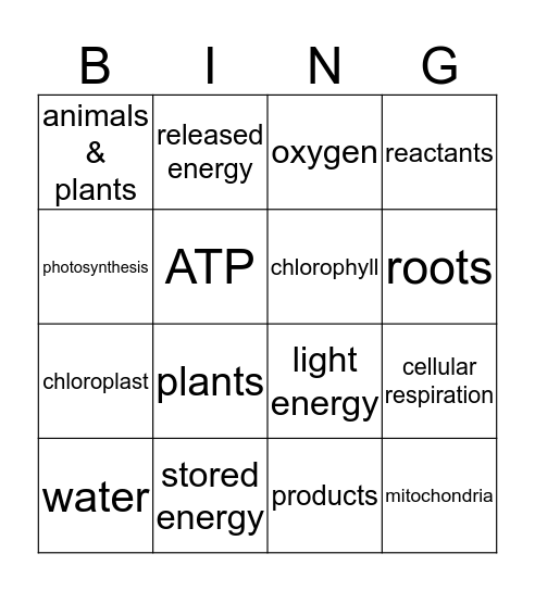 Cell Energy Bingo Card