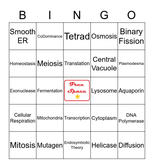 BIOLOGY EXAM REVIEW BINGO! Bingo Card