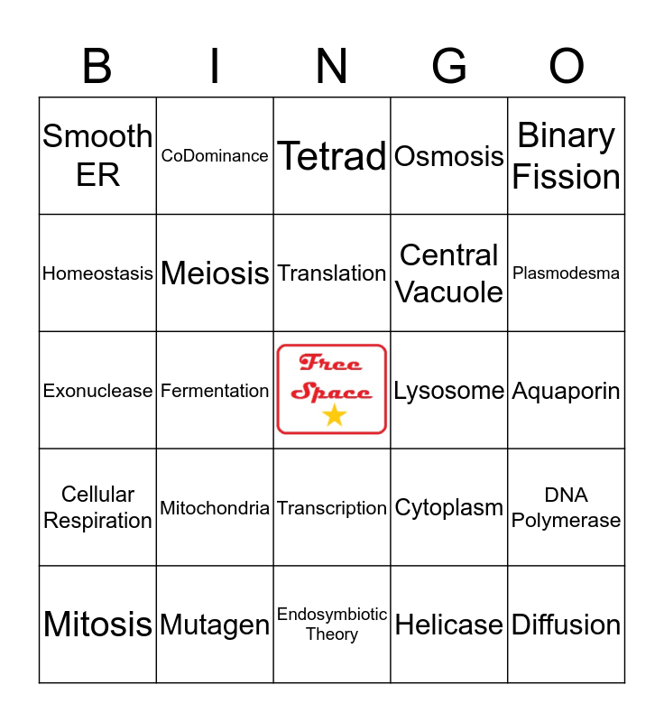 BIOLOGY EXAM REVIEW BINGO! Bingo Card