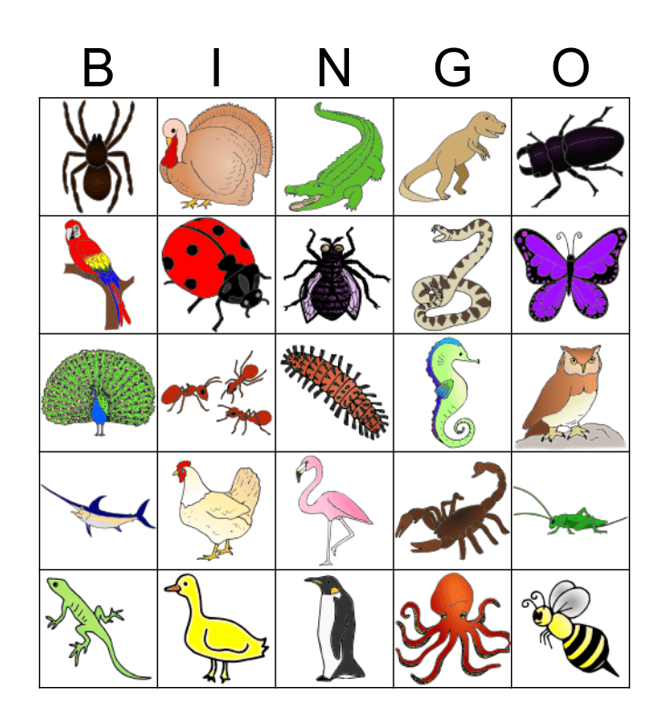 Animal Bingo I: Birds, Insects, Reptiles, Amphibians Bingo Card