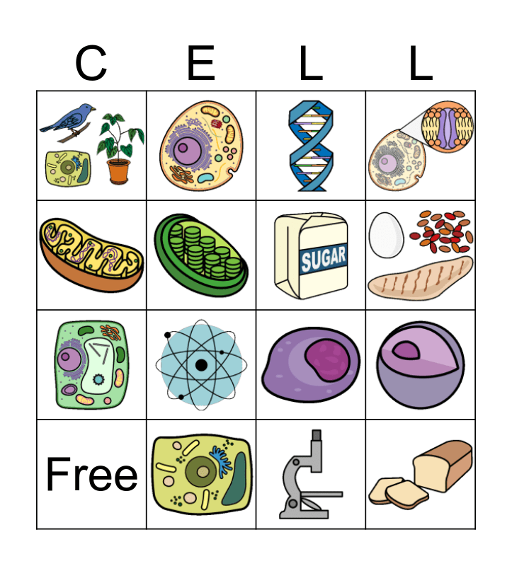 Cell and DNA Bingo Card