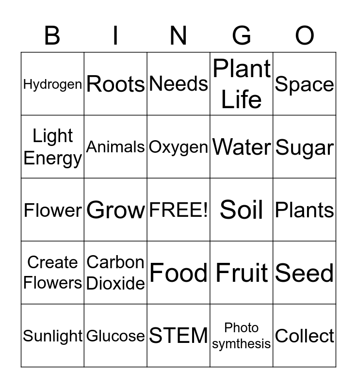 Photosynthesis By Keila Mower Bingo Card