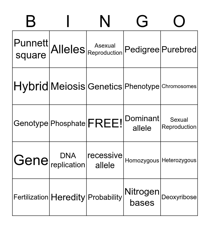 DNA Bingo Review Bingo Card