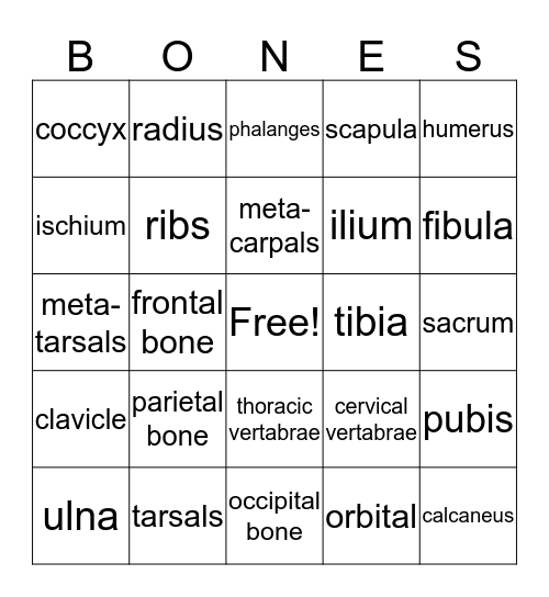 Bones Bingo Card