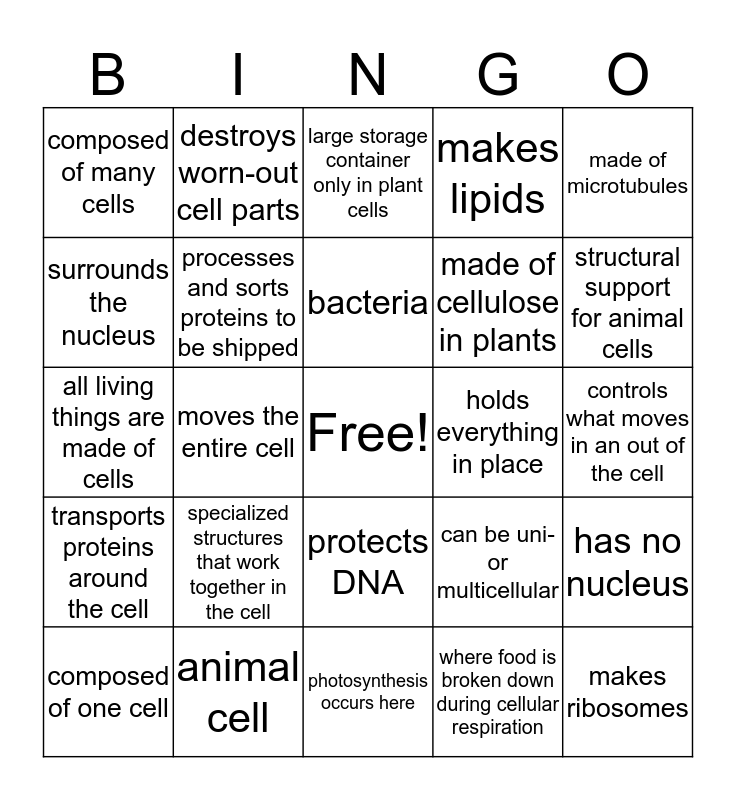 Biology Bingo Card