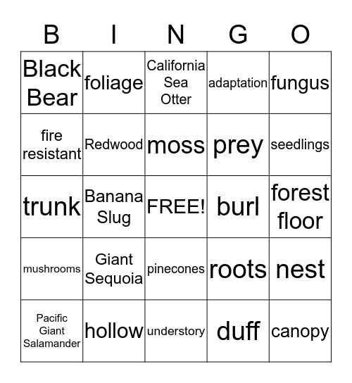 Redwood Forest Bingo Card