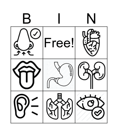 organlar Bingo Card