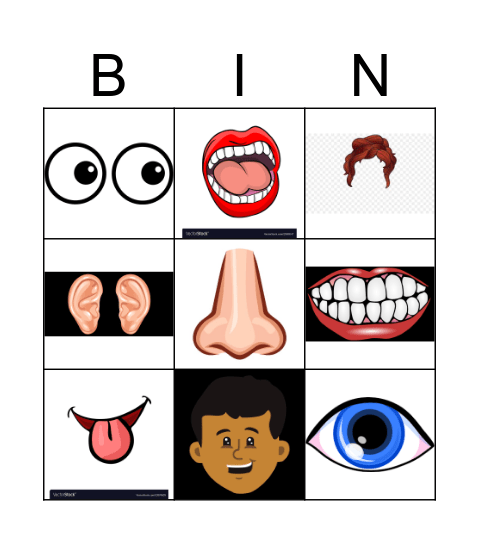 Parts of the Body[Head] Bingo Card