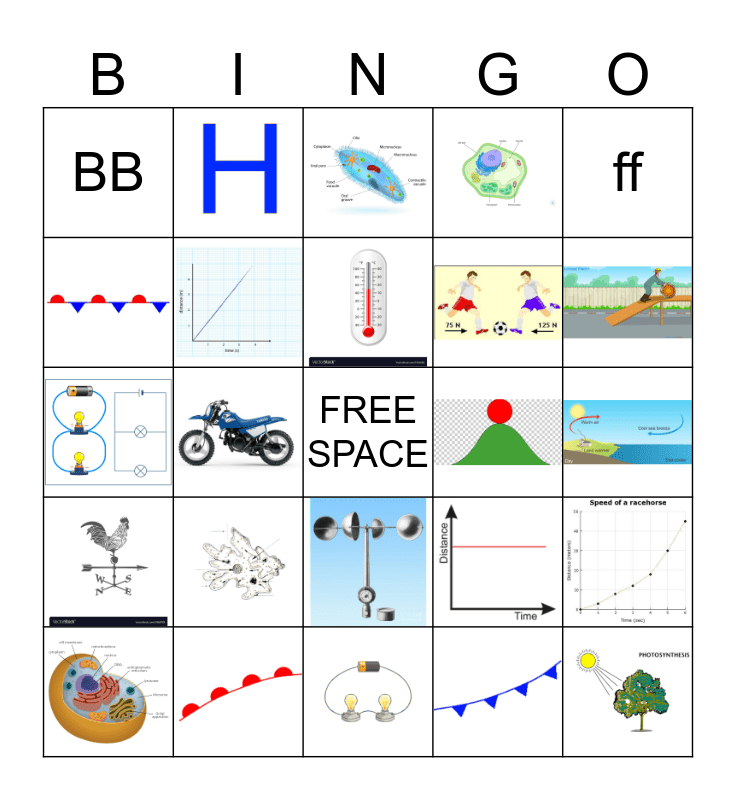 7th Grade Science BINGO Bingo Card