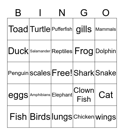 Animal Classification Bingo Card