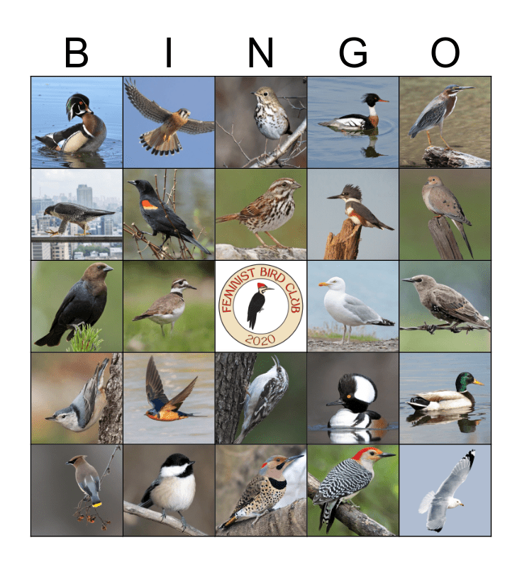 Bird Bingo Card